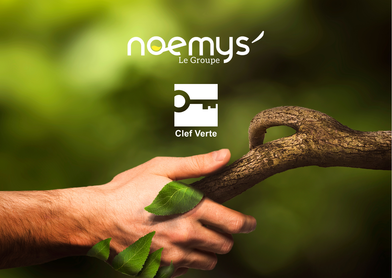 Six nouveaux établissements Noemys et Garrigae labélisés Clef Verte en ...
